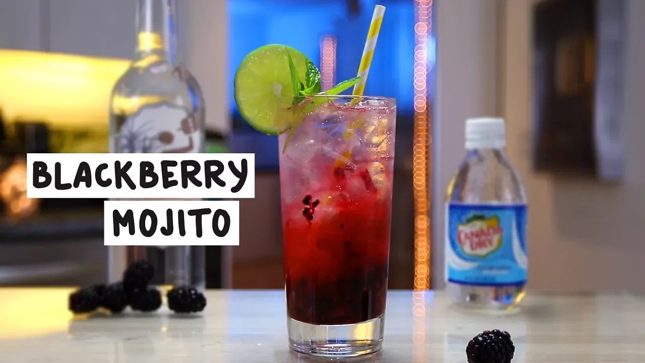 Blackberry Mojito Cocktail Recipe